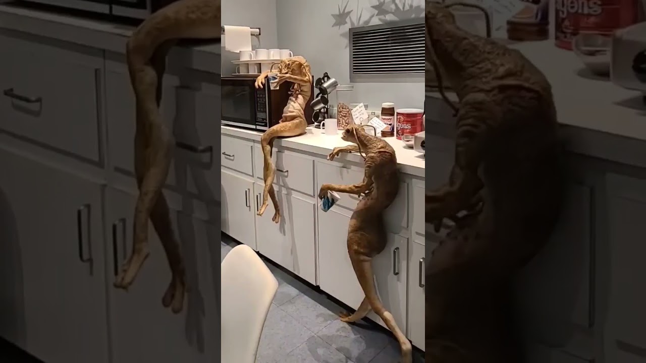 Men in Black: The Office Chronicles - Dealing with Alien Co-worker Worms