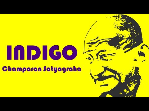 Story Narration | Indigo | Champaran Satyagraha | Class 12 | Flamingo | Louis Fischer | Chapter 5