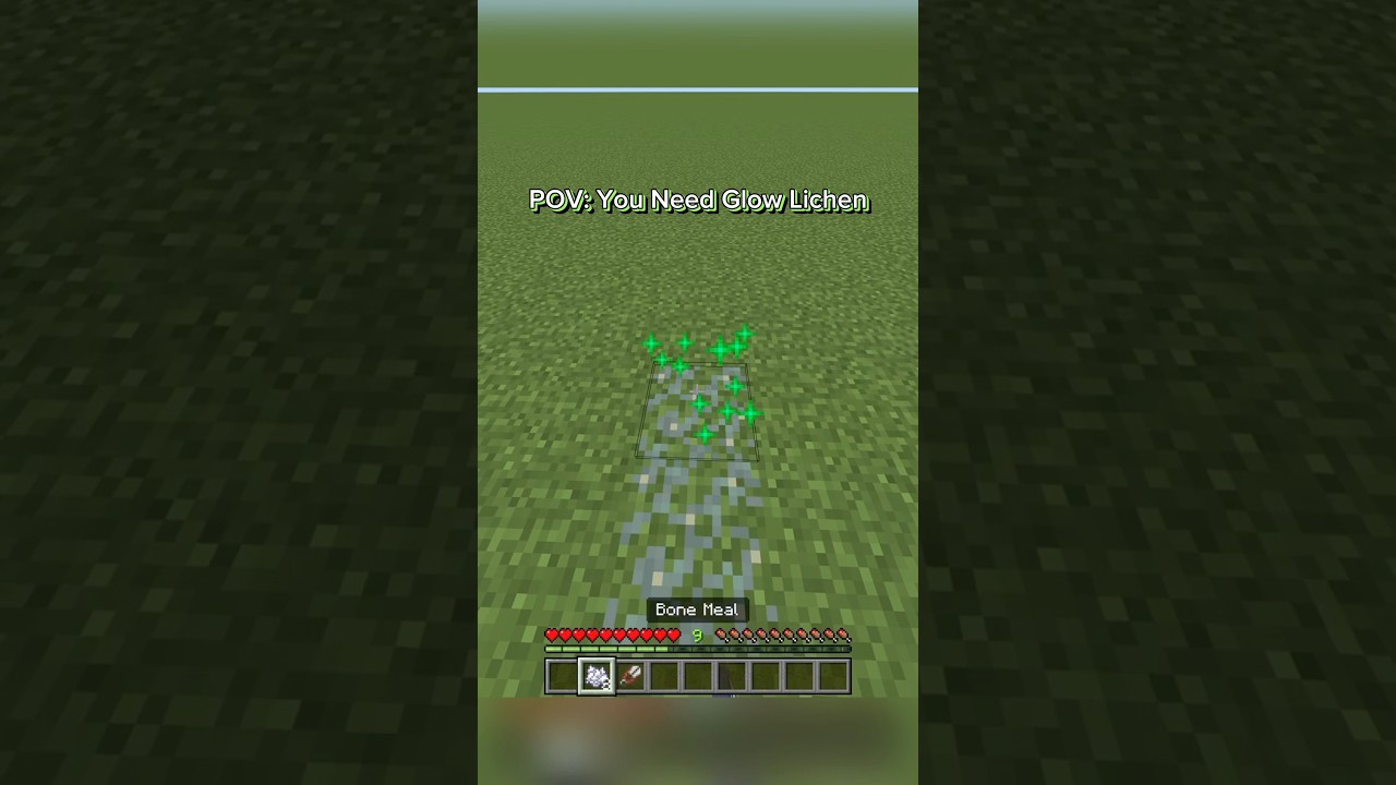 POV: You Need Glow Lichen #minecraft #foryou #gaming #relatable #cool #pov