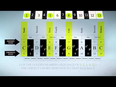 Fibonacci sequence | MEXINDIEMUSIC