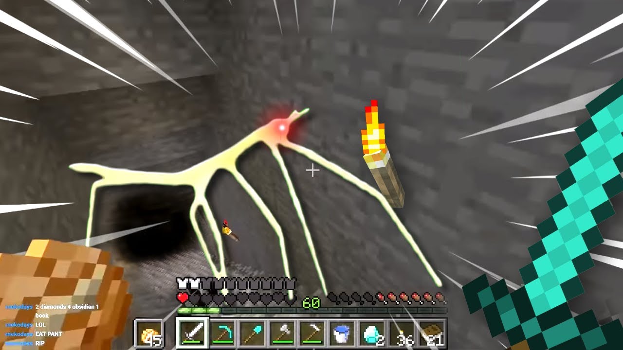 Minecraft player gets Stick Bugged lol
