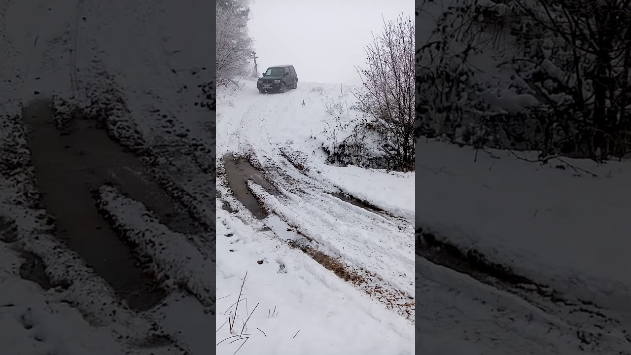 Mitsubishi Pajero 3.2 DiD in forest.