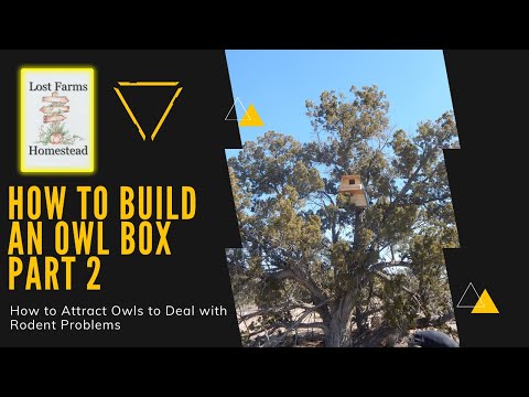 Episode 9: How to attract Owls to deal with Rodents (Hanging the Owl Box)