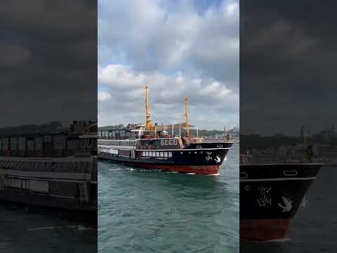 Biggest Cruise Ship 😱 #interestingfacts #funfacts #viralvideo #randomfacts #facts #shorts