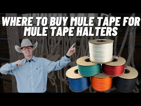 Where To Buy Mule Tape For Halters - Mule Tape Halter Secrets