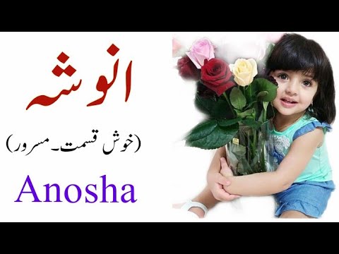 Anosha(انوشہ) Name Meaning In Urdu & Hindi / Anosha Name Details 2022