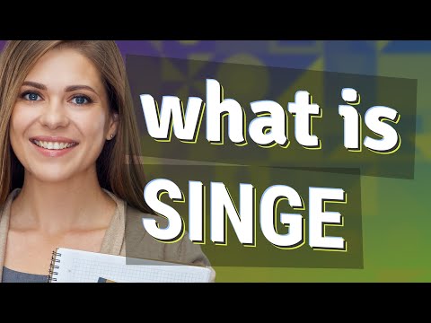 Singe | meaning of Singe