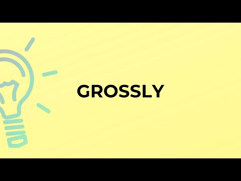 What is the meaning of the word GROSSLY?
