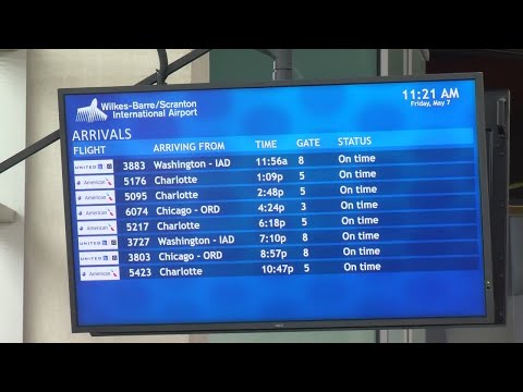 Air Travel Rebound
