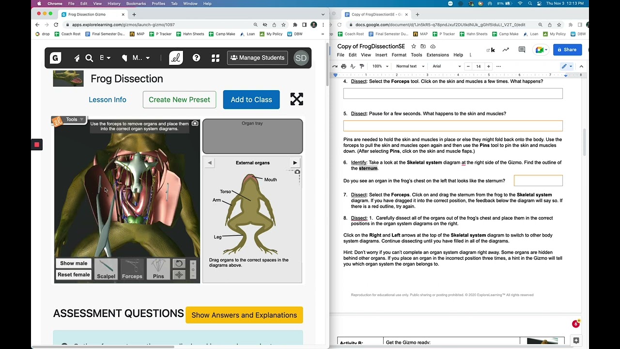 Frog Dissection Gizmo Instructional Video