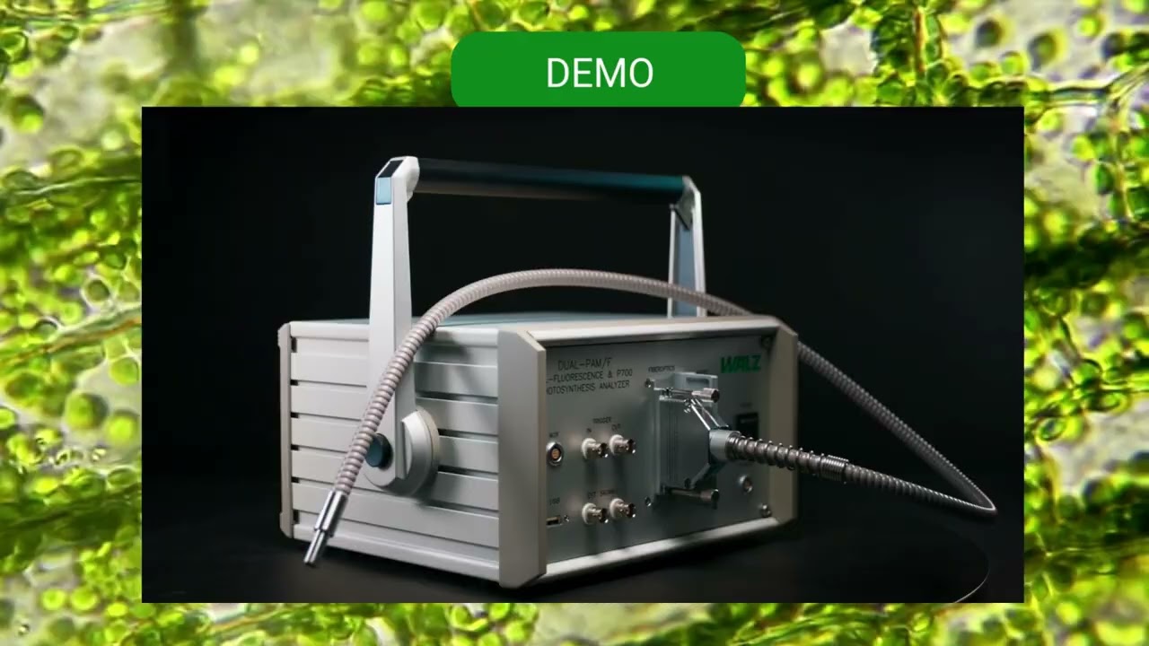 WALZ Dual-PAM-100 | Sistem Analisis Fotosintesis Termaju | Labquip Malaysia