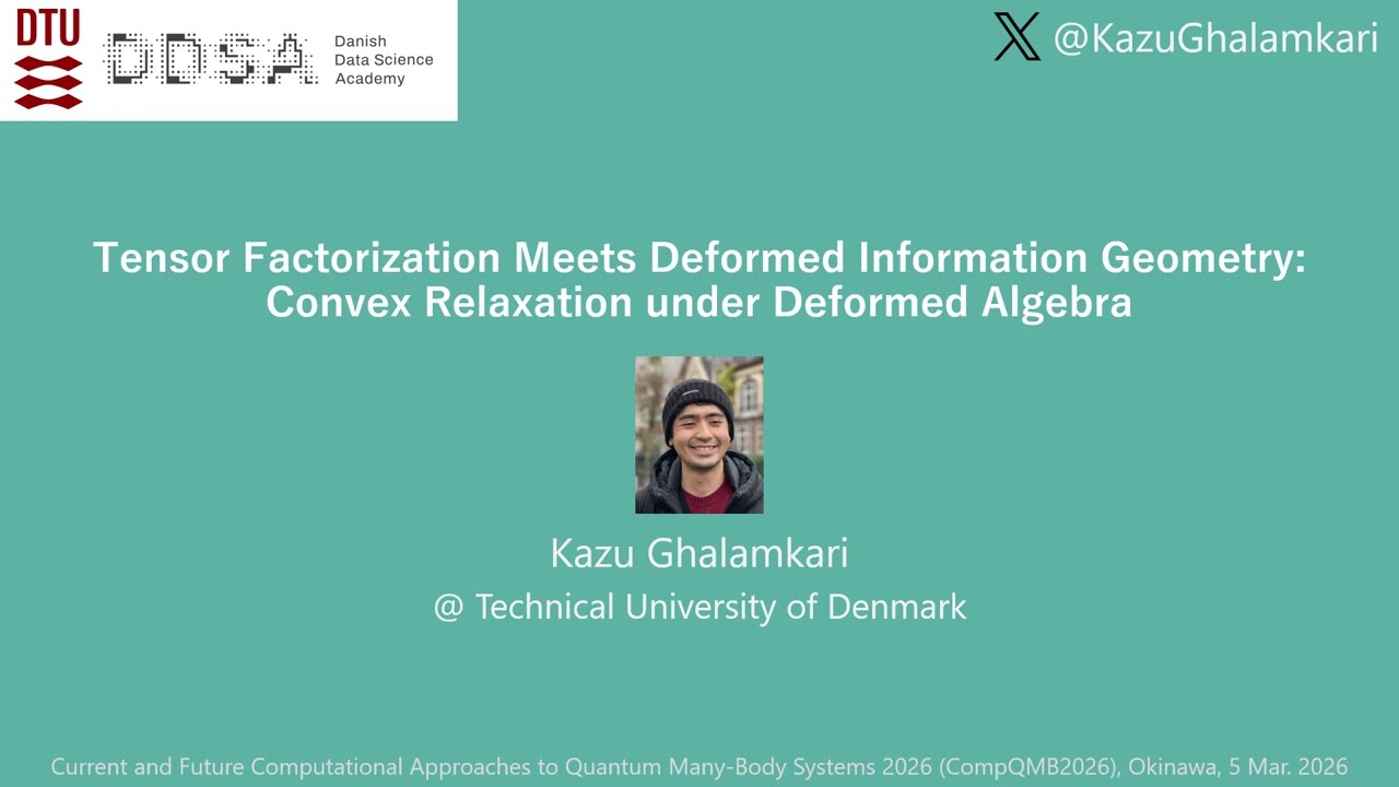 [CompQMB2026] Tensor Factorization Meets Deformed Information Geometry