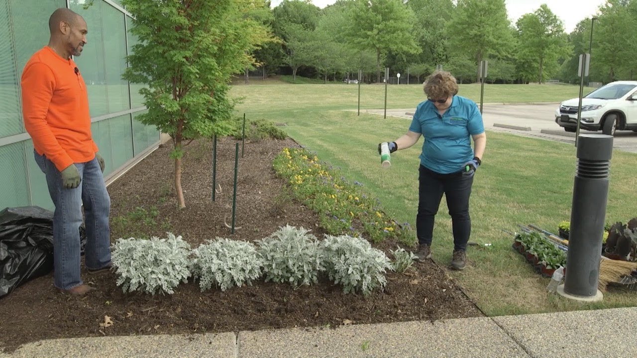 The Family Plot - May 11, 2018