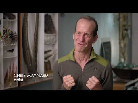 Feathers are symbols of our aspirations, flight & hope - preview from SCIENCE episode