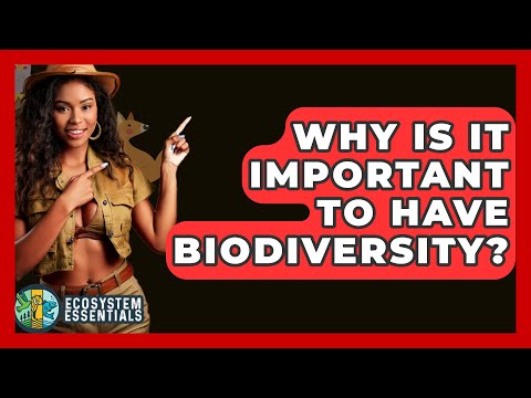 Why Is It Important To Have Biodiversity? - Ecosystem Essentials