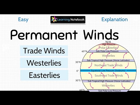 Permanent Winds | Trade winds Westerlies and Polar Easterlies