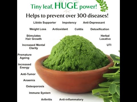 Facts about Moringa || Health and Medicinal Benefits of Malunggay