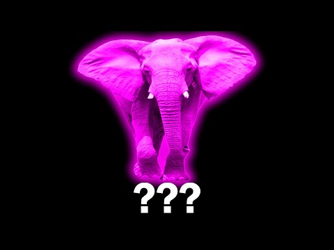 15 Elephant Sound Variations in 30 Seconds