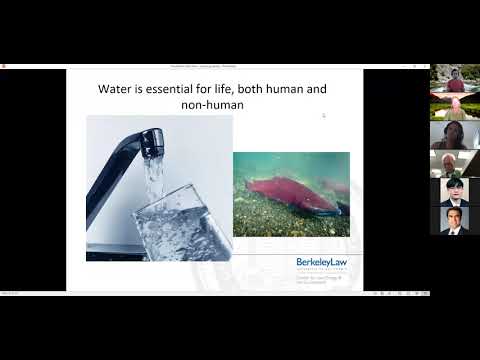 How Dynamic are Property Rights in Water?