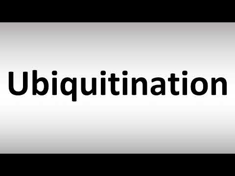 How to Pronounce Ubiquitination