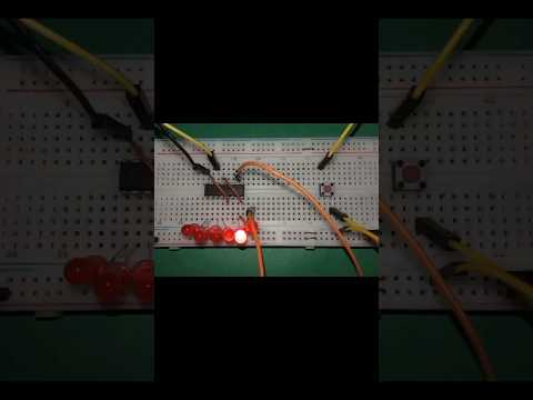 4017 IC Project 😍