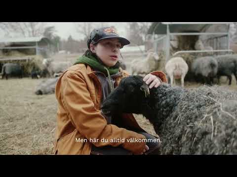 Vad betyder det för dig att ha ett jobb?