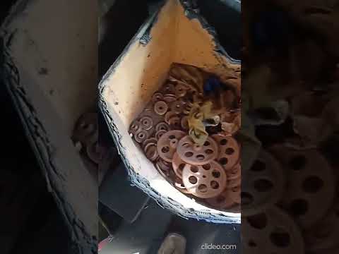 Fin Die at Best Price in India