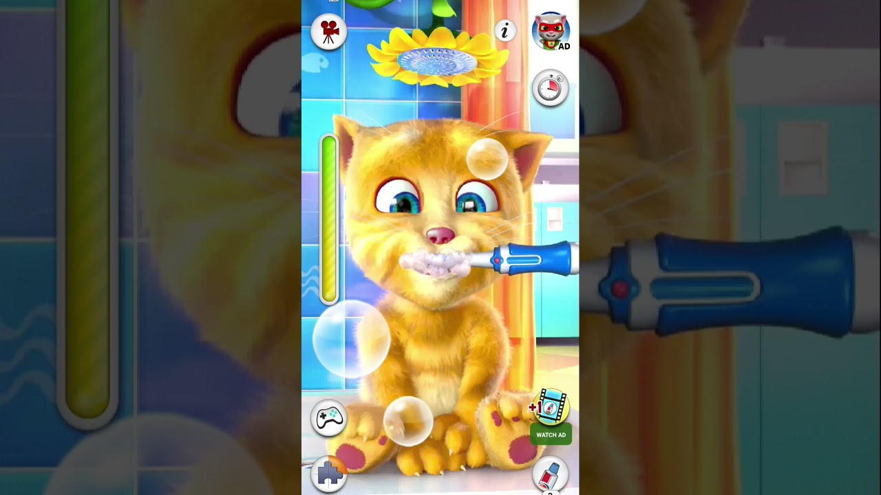 My Talking Ginger 2 Apk For Google Play Store