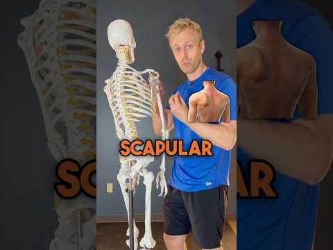 Why THIS muscle is critical for pain-free shoulders! #rotatorcuff #shoulderinjury