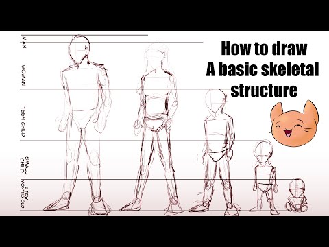 Drawing basics: Skeleton Body Structure | Fluffywonder