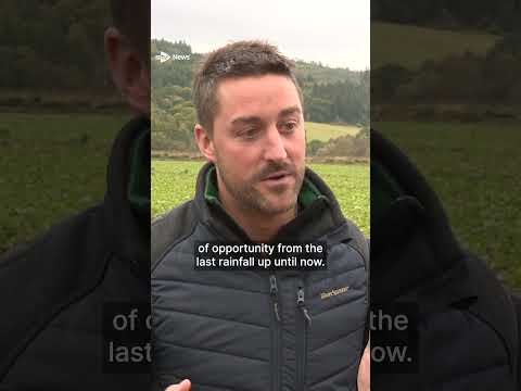 Farmers race to save harvest before Storm Babet hits