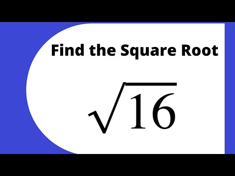 The Square Root of 16