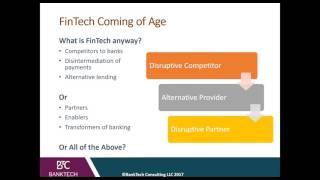 Risk Management in FinTech Innovation