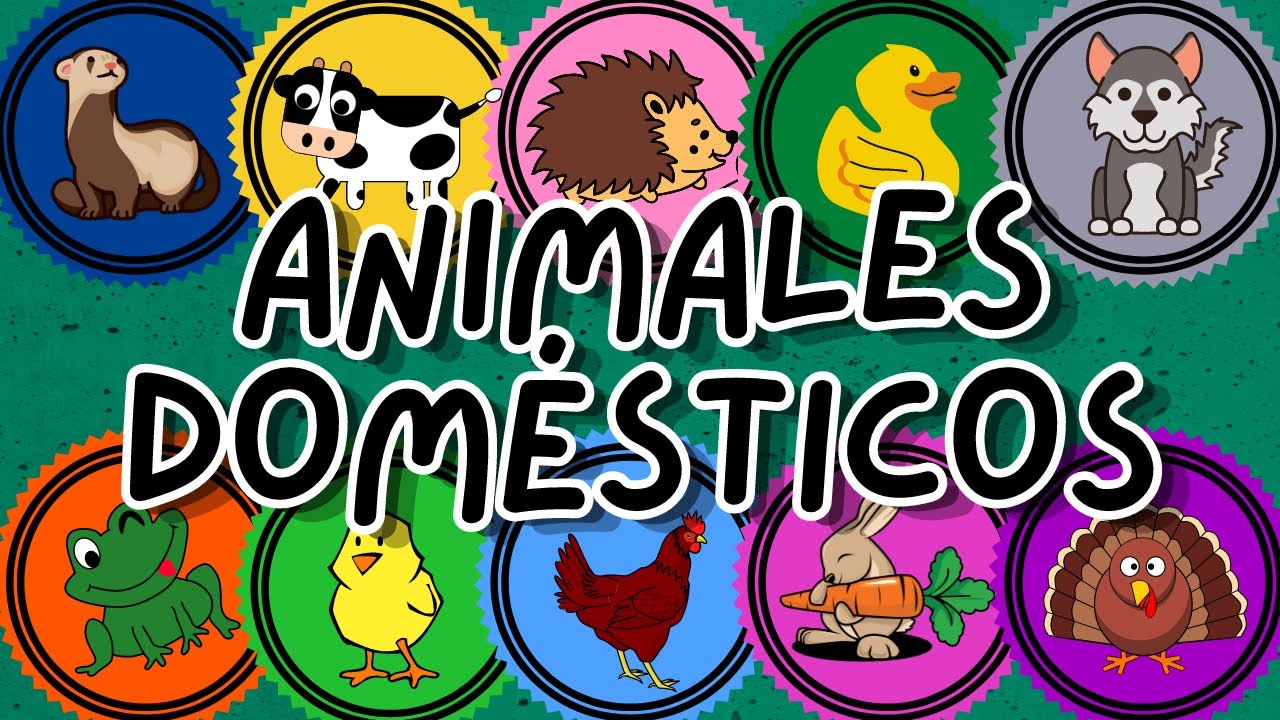 ANIMALES DOMÉSTICOS - ¿QUÉ SON? - EJEMPLOS