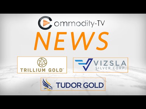 Mining Newsflash with Tudor Gold, Vizsla Silver and Trillium Gold Mines