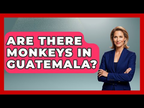 Are There Monkeys In Guatemala? - Central America Uncovered