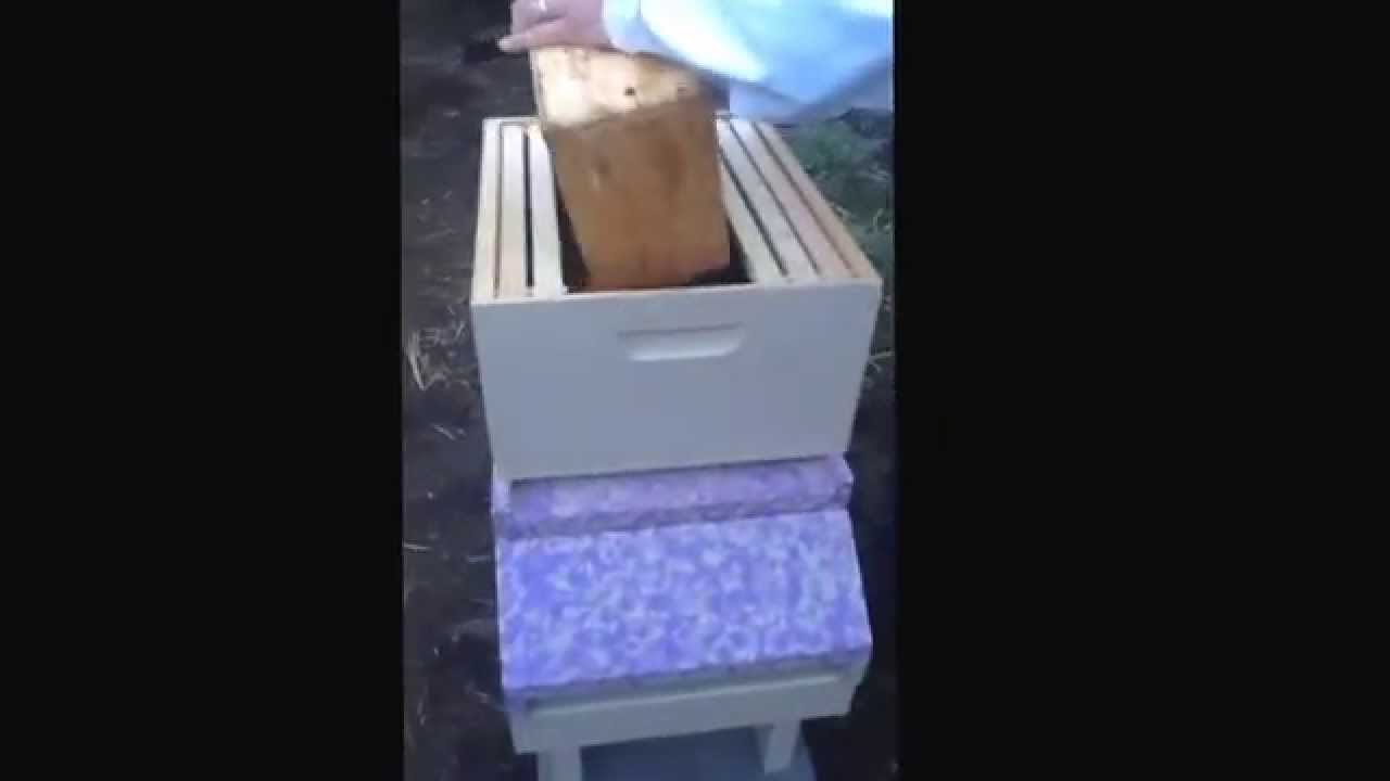Andy's bees episode 2