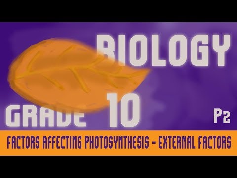 Photosynthesis | Factors Affecting Photosynthesis [External & Internal Factor] | Overview | Part 6