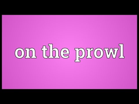 On the prowl Meaning
