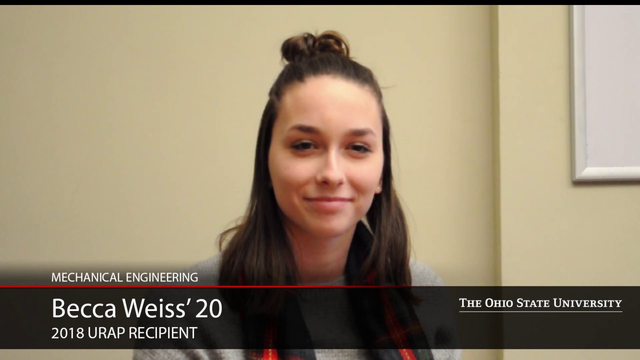 Undergraduate Research Apprentice Program (URAP)