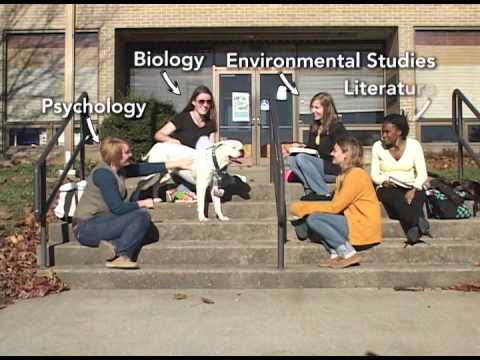 Goodbye Rocky! | Ramsey Library