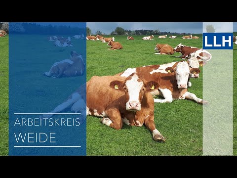Weidehaltung und Vermarktungskonzepte AK Weide