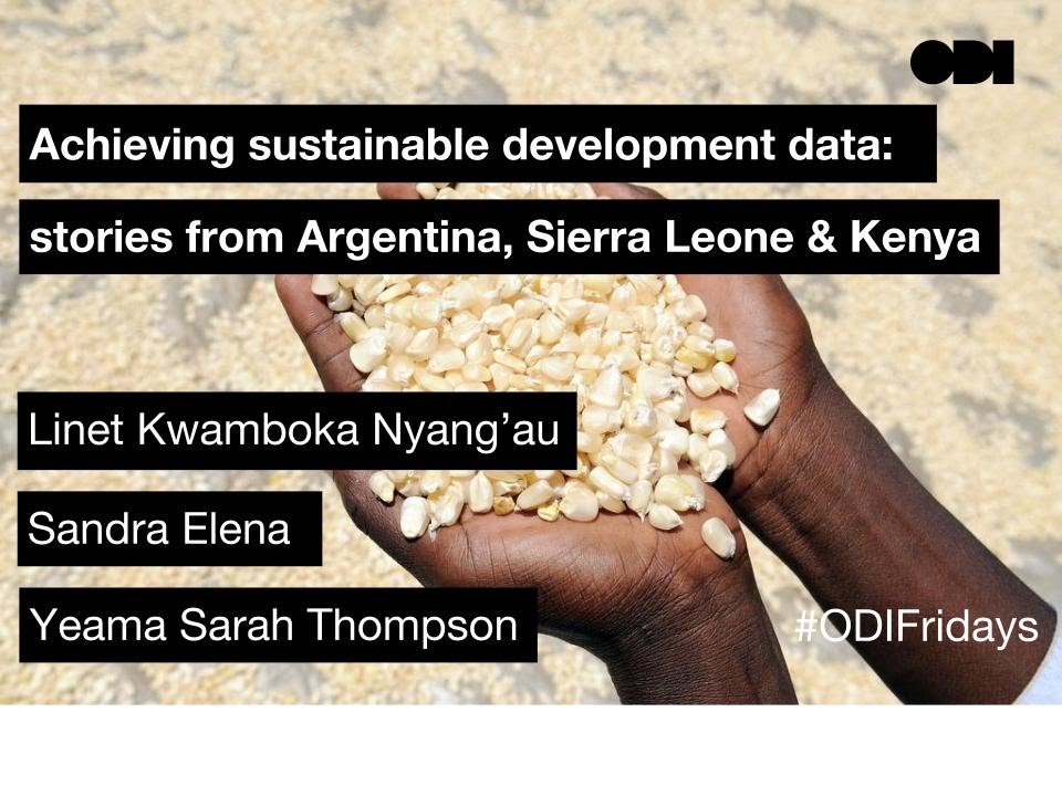 Friday lunchtime lecture: Achieving sustainable development data
