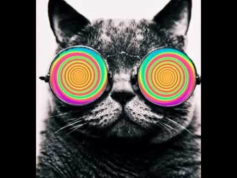 Steam Community :: Video :: Katnik