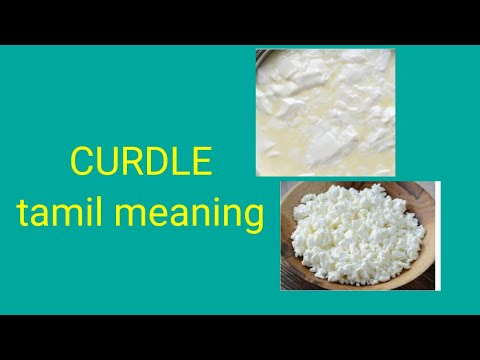 CURDLE tamil meaning/sasikumar