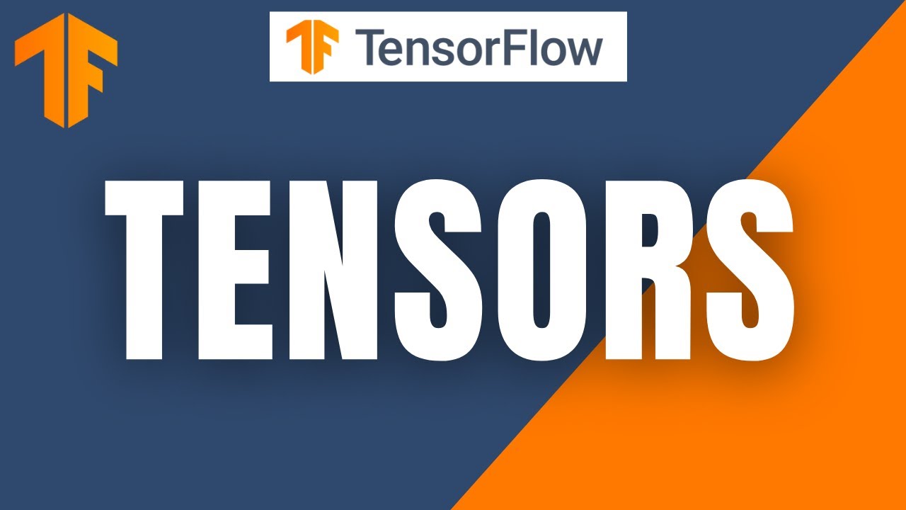 TensorFlow Tutorial: Basics of Tensor | Deep Learning