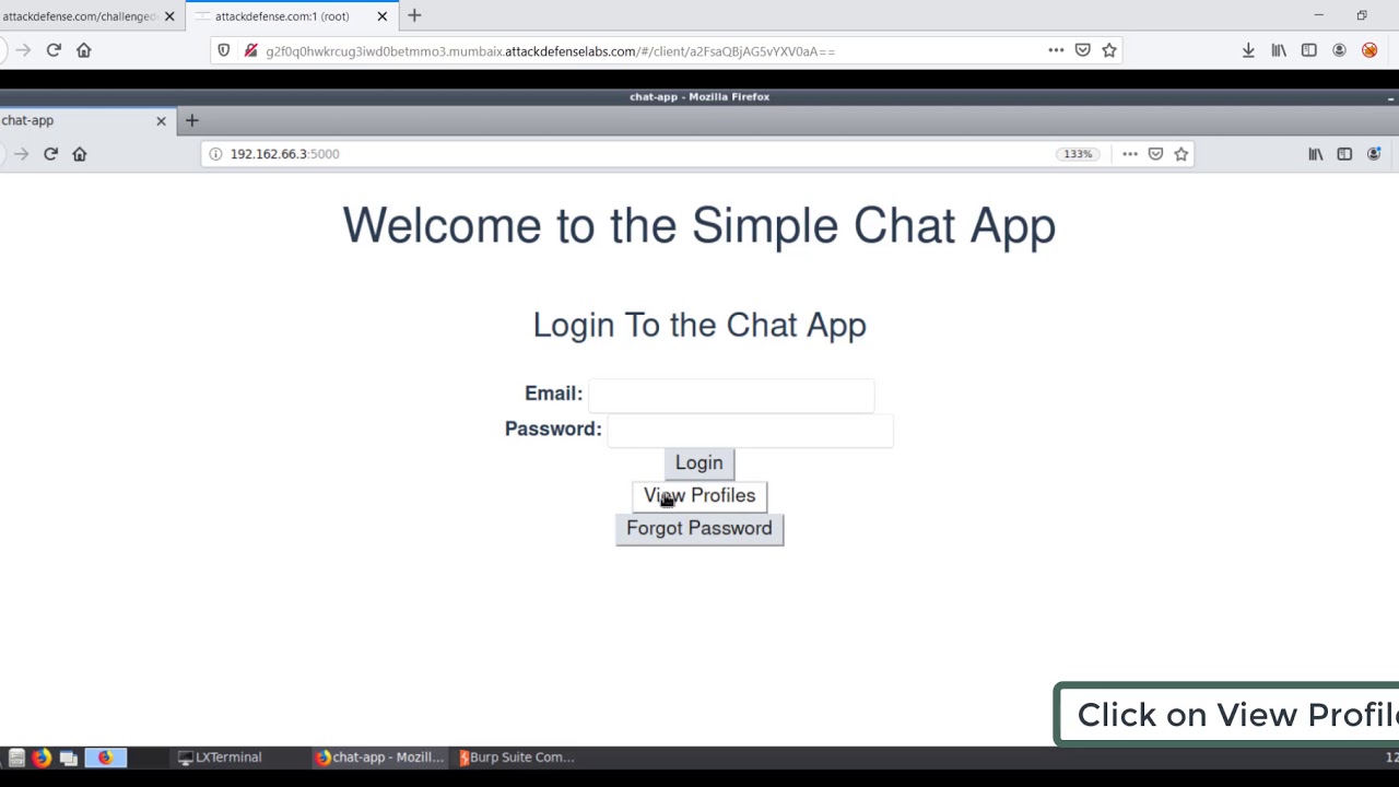API Security: Excessive Data Exposure I
