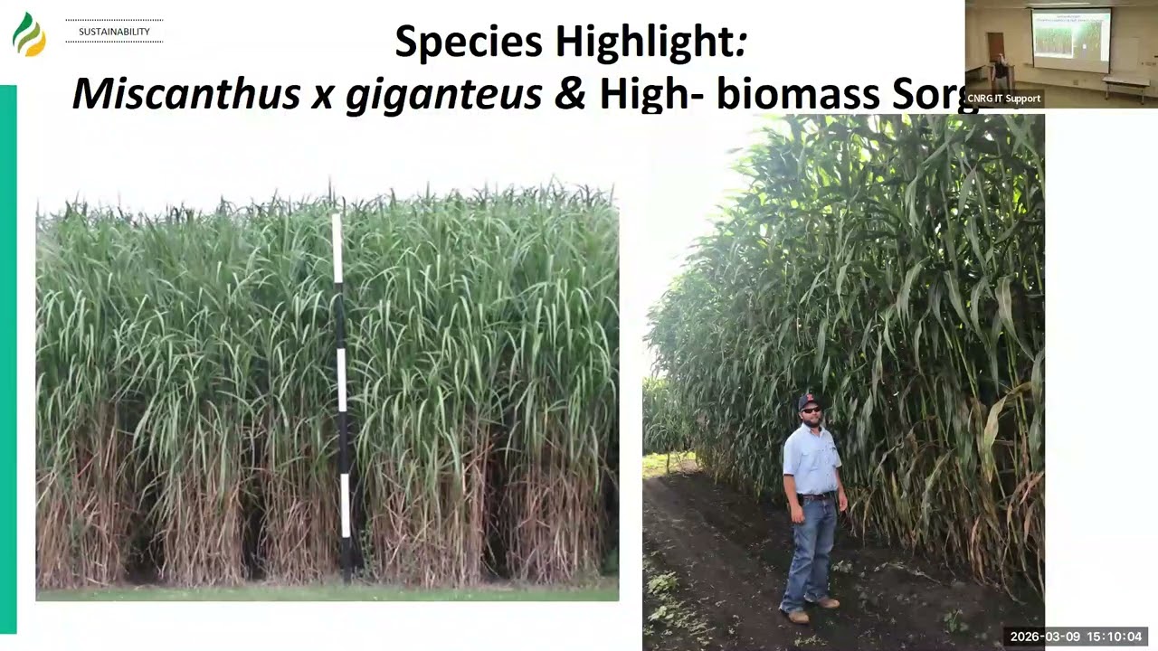 Bioenergy 101: Bioenergy Crop Agronomy, Miscanthus, and High Biomass Sorghum