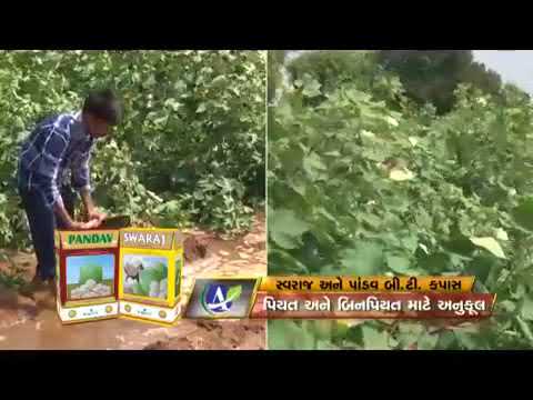Agricultural Pesticide Manufacturer | Arcon Crop Science India Pvt Ltd ...