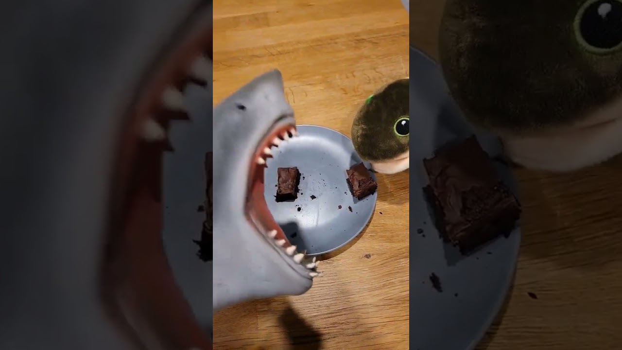 Hungry Hand eats Brownie with Toto!